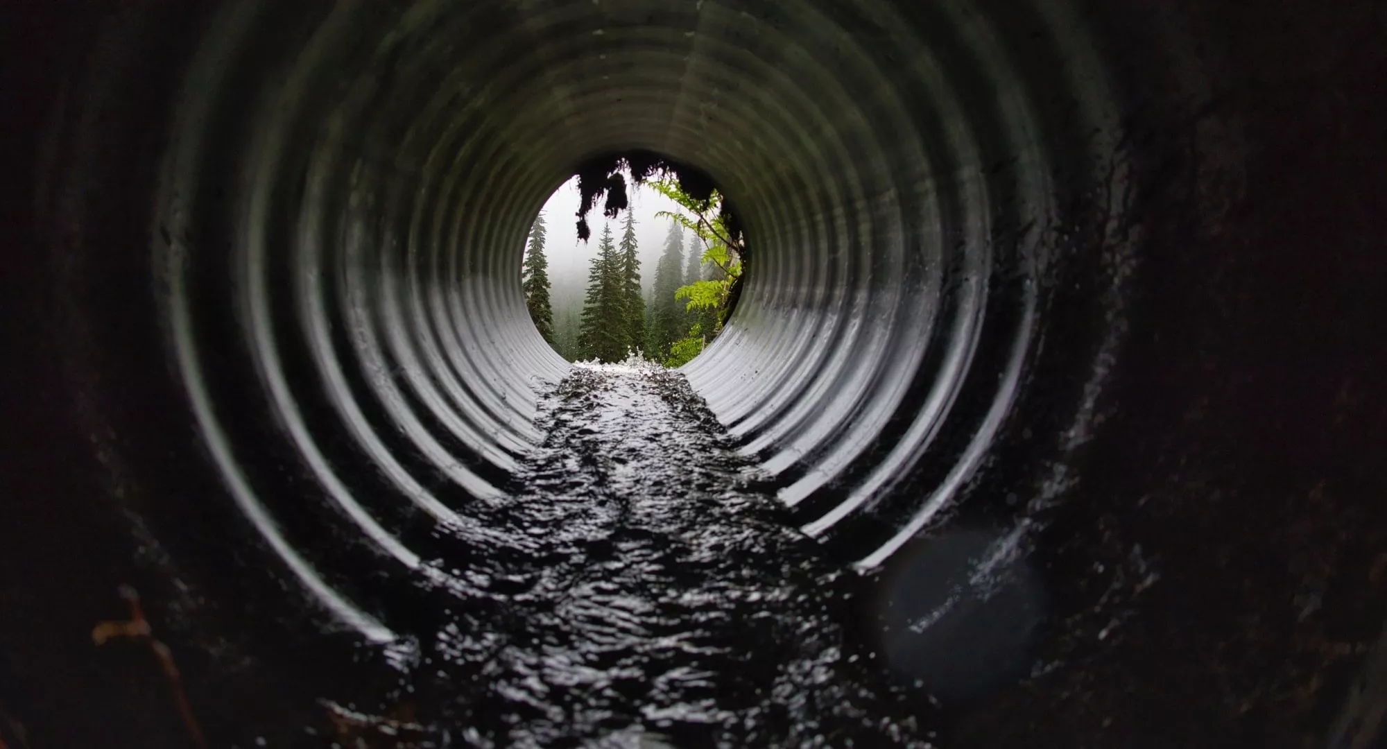 Decentralized Stormwater Controls for Urban Retrofit and Combined Sewer ...